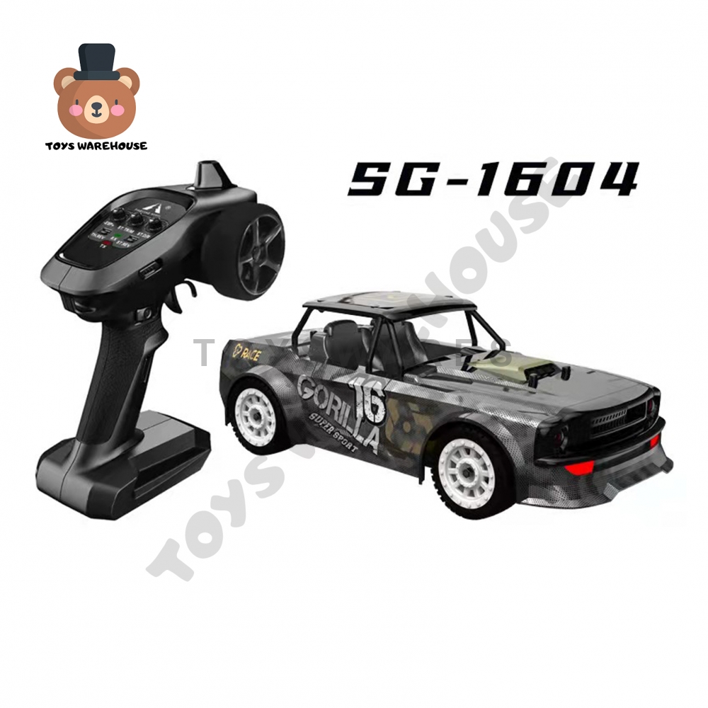 Pinecone Model UDIRC SG 1603 UD 1601 Baron RC Car 4WD RC Drift Car ...
