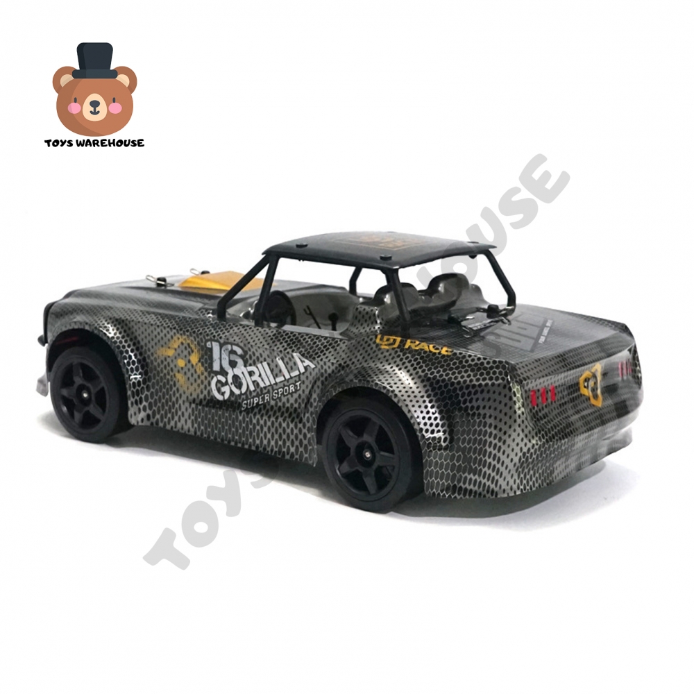 Pinecone Model UDIRC SG 1603 UD 1601 Baron RC Car 4WD RC Drift Car ...